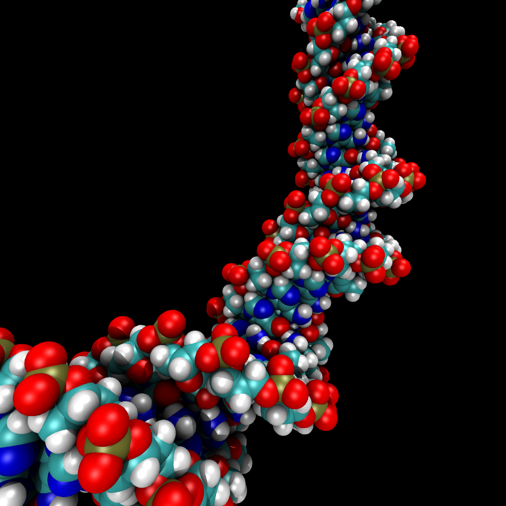 Performance Instrumented Ray Tracing for Windows – ParaTools, Inc.